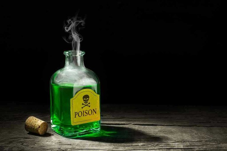 Antifreeze Murder Plots – Wives Turn Deadly | United Voice
